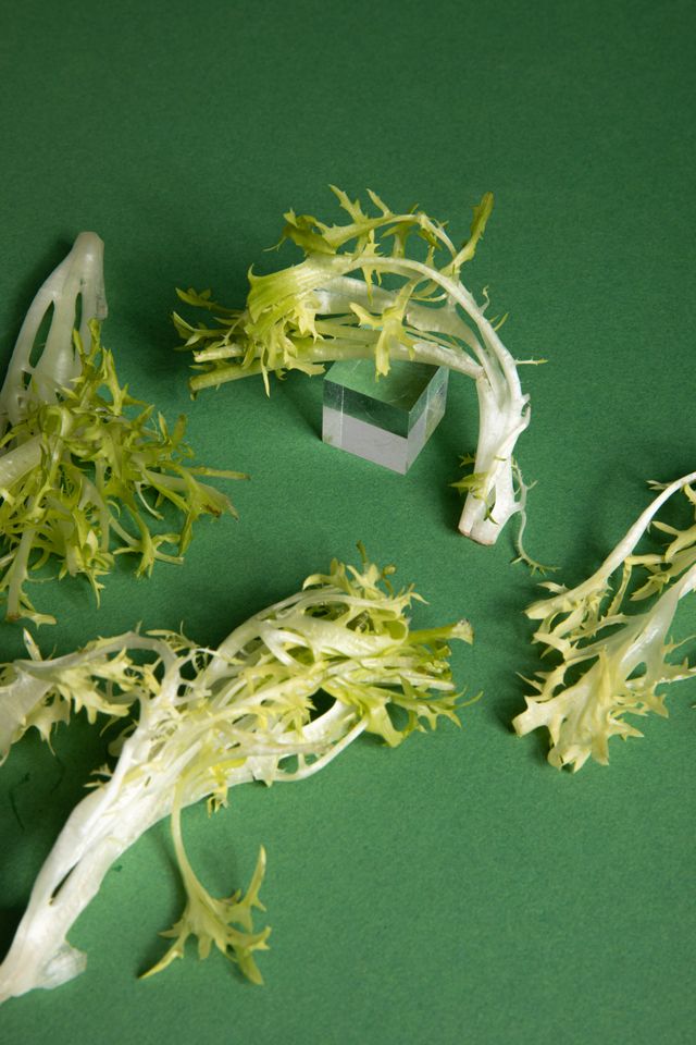 Everything to Know About Cooking and Shopping for In Season Frisée ...