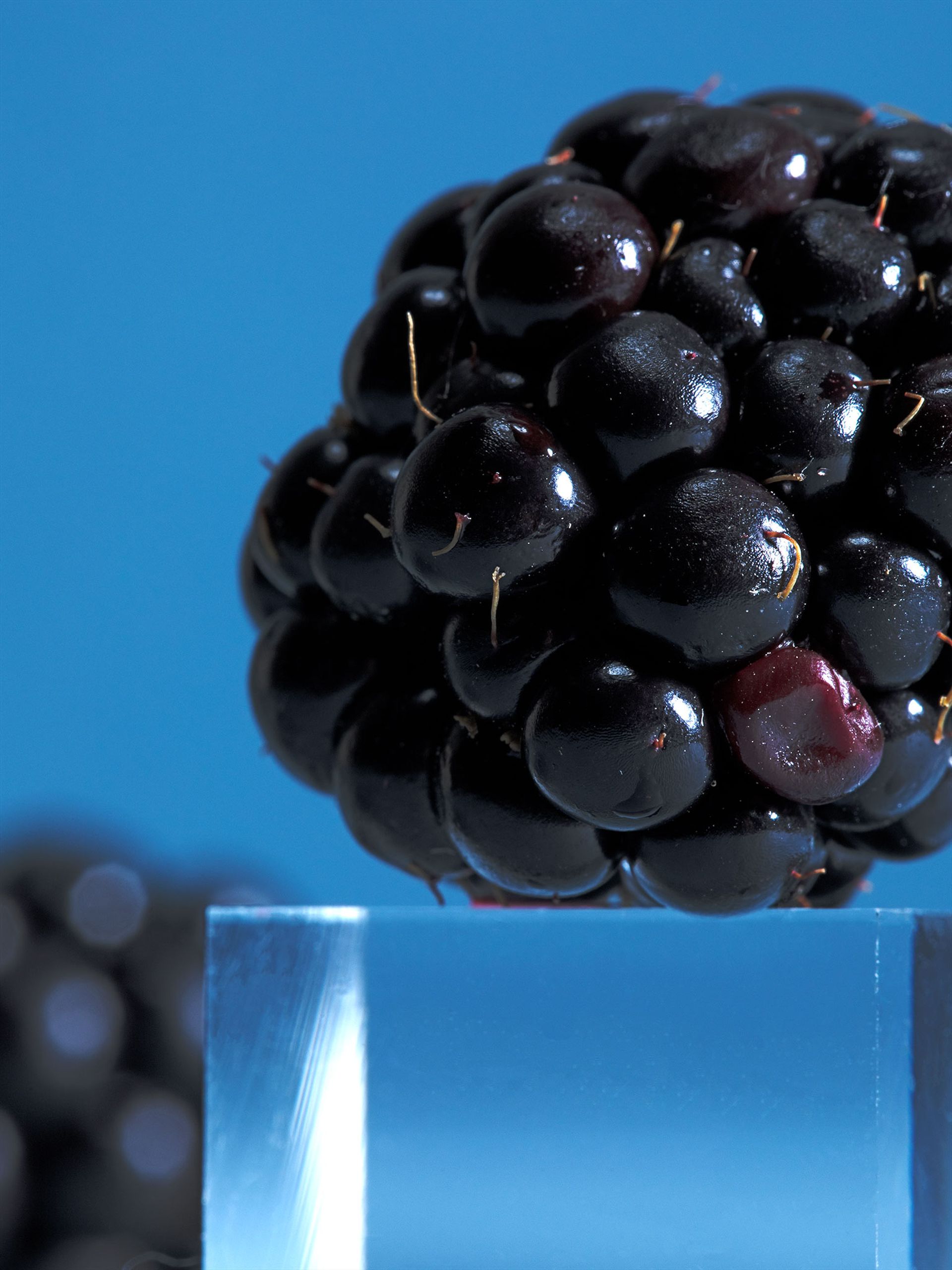 Everything to Know About Cooking and Shopping for In Season ...