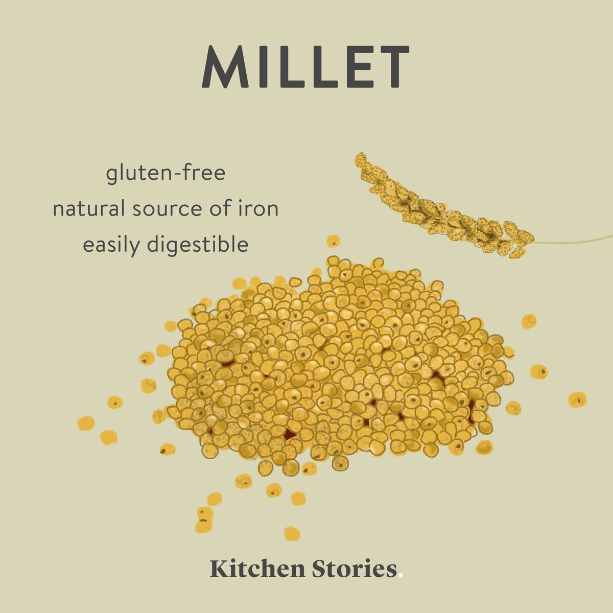 Why We Love Regional Superfoods | Stories | Kitchen Stories