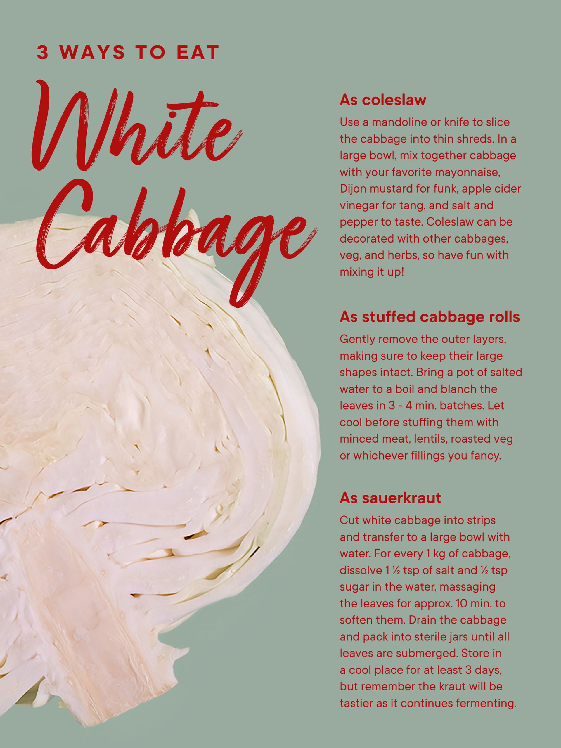Everything You Need to Know About Preparing and Storing In Season White ...
