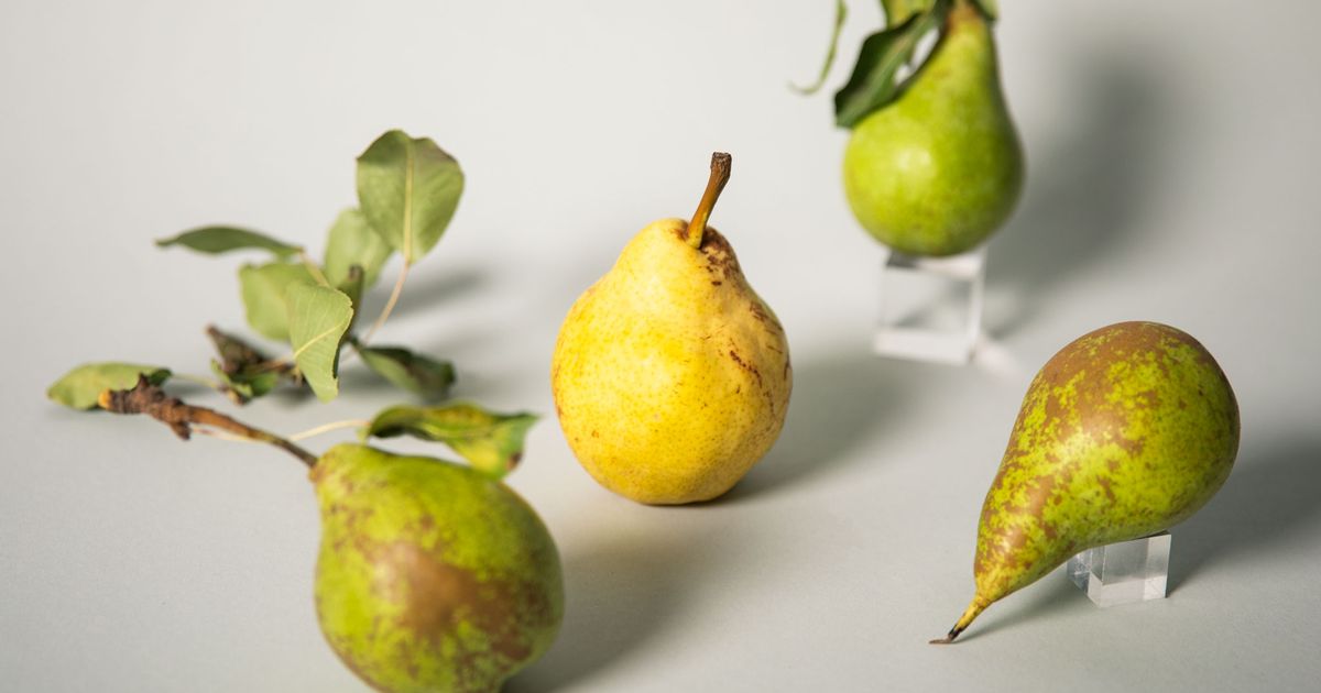 Everything to Know About Cooking and Shopping for In Season Pears ...