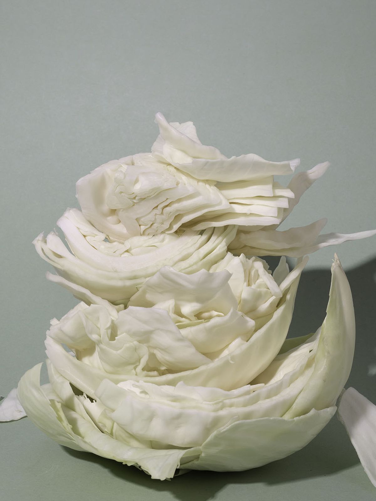 Everything You Need to Know About Preparing and Storing In Season White ...