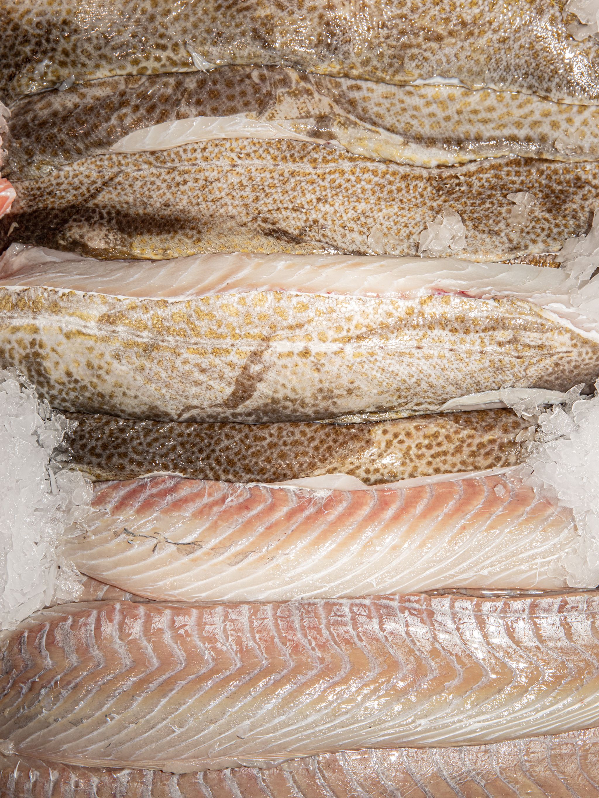 A Guide to Buying Fish and Seafood | Stories | Kitchen Stories