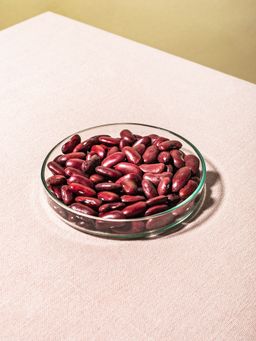 Spilling the Beans: A Guide to Our Favorite Legume | Stories | Kitchen ...