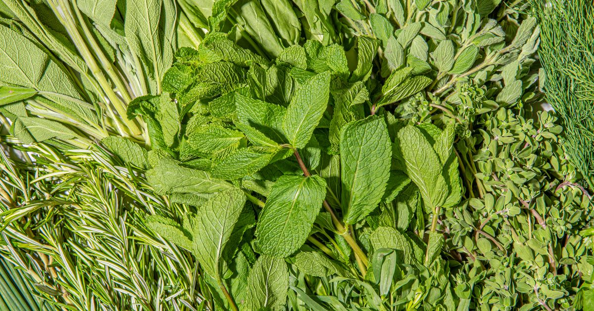 17 of Our Favorite Herbs and How to Use Them | Stories | Kitchen Stories 17 of Our Favorite Herbs and How to Use Them | Stories | Kitchen Stories