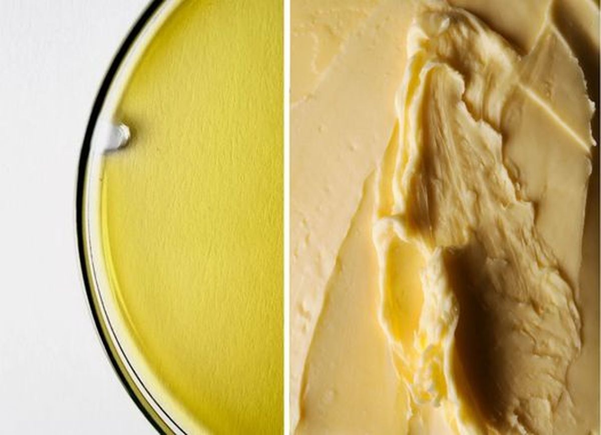 No to Butter, Yes to Plant-Based Oils: New Study Reveals How to Extend ...