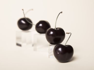 Everything to Know About Cooking and Shopping for In Season Cherries ...