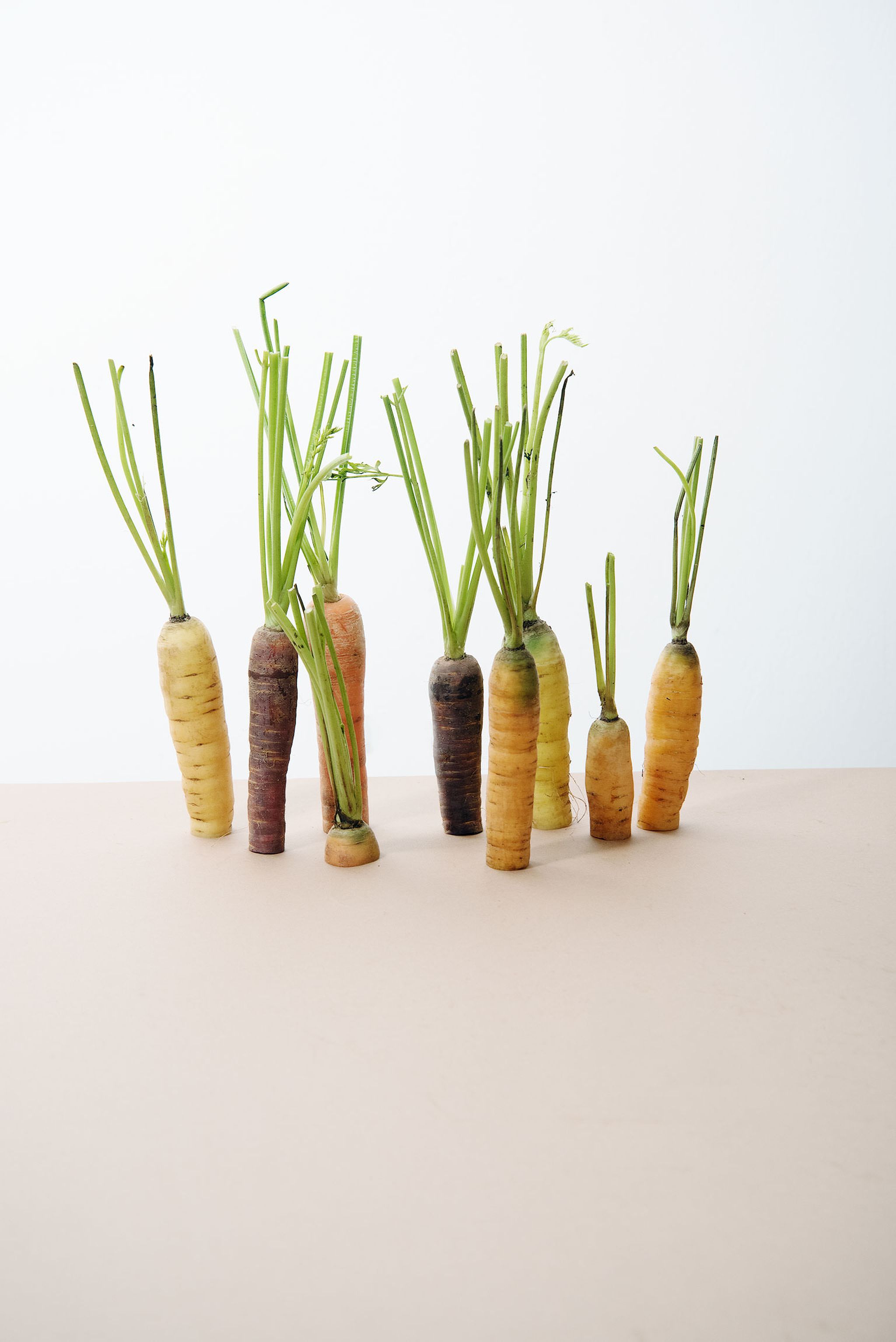 Everything to Know About Cooking and Shopping for In Season Carrots ...