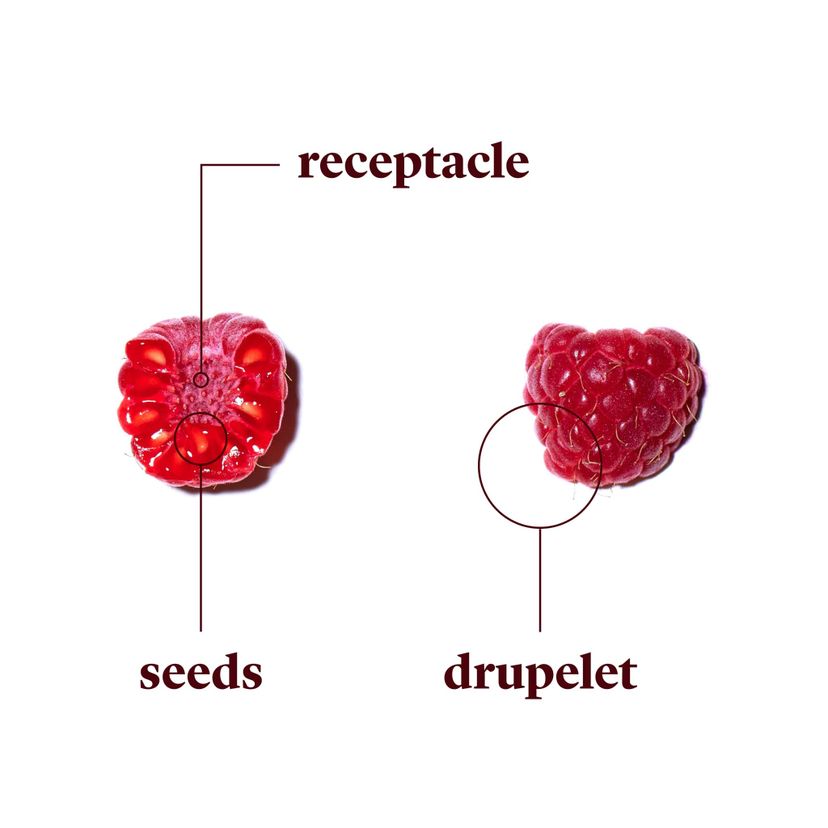 Everything to Know About Shopping, Storing, and Preparing In Season ...