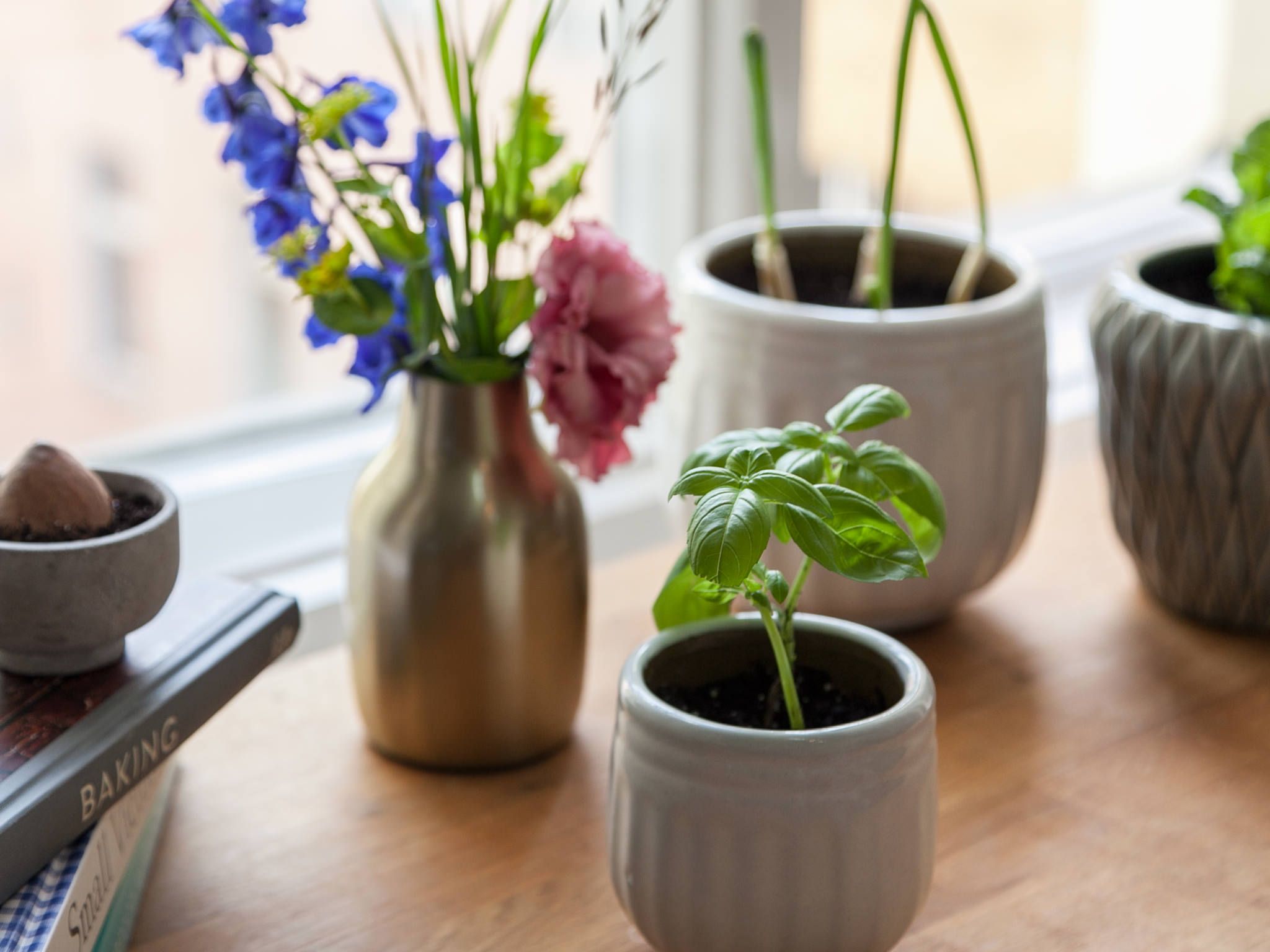How to Regrow Herbs and Vegetables in the Kitchen | Stories | Kitchen ...